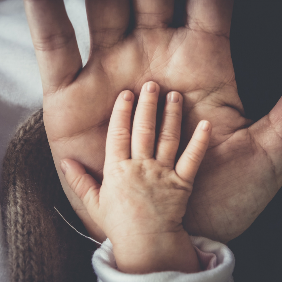 BfHD - Bund freiberuflicher Hebammen Deutschlands e.V.